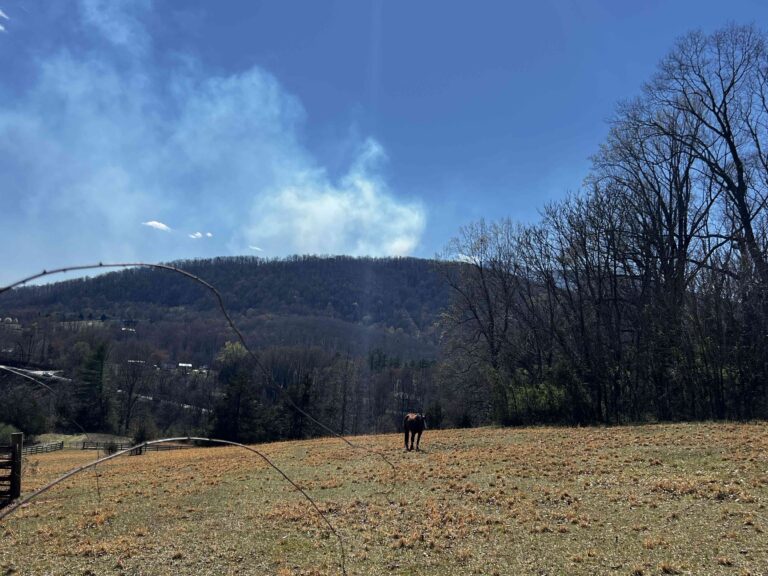 News Bulletin : (Video) Large Wildfire Now Burning In Afton Near Blue ...